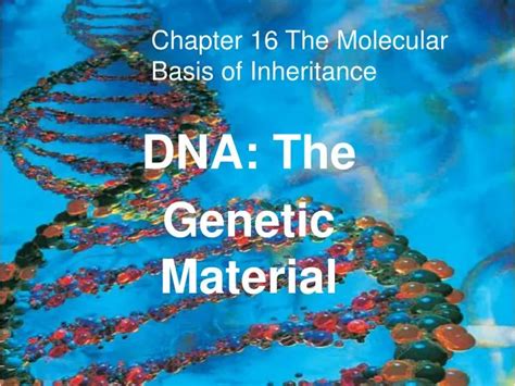 Ppt Dna The Genetic Material Powerpoint Presentation Free Download