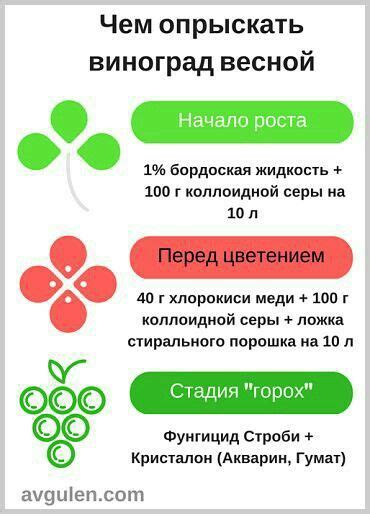 Pin von Наталя auf ТОМАТЫ...... | Garten pflanzen, Garten, Pflanzideen