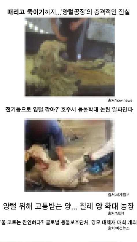 기타러그 물결 양털 러그 양모 카페트 퍼 거실 침실 60cm 오늘의집 쇼핑