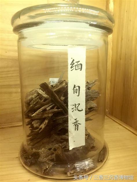沉香產區篇 3 緬甸產區 每日頭條