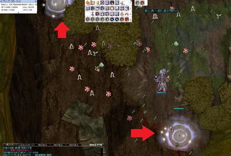試練ルートのみで幻影の迷宮に行ってみました【20221206】 【ro】しがないソーサラーのメモ帳