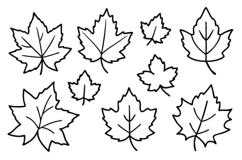 Sycamore Leaf Hand Drawing Artwork Premium Ai Generated Vector