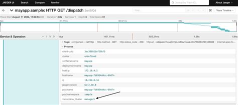 View Trace Records Verrazzano Enterprise Container Platform