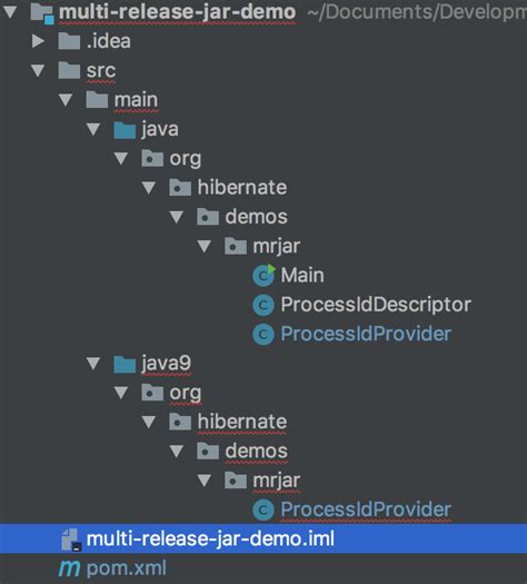 Java Building Multi Release Jar For A Project Involving Dependencies