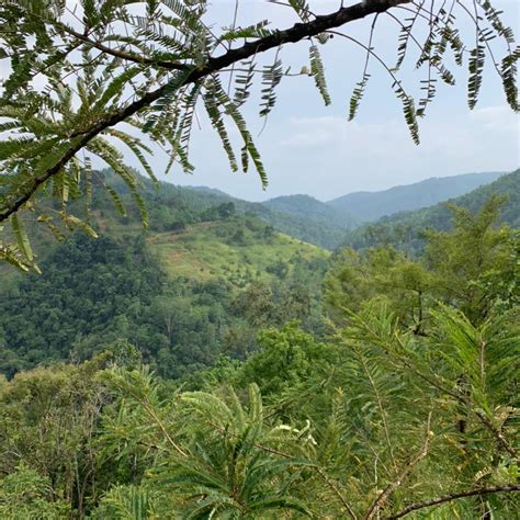 නුවර අවට ඉඩමි සහ ෙගවල්