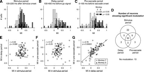 Response Modulation In Each Period Of The Delayed Response Visual