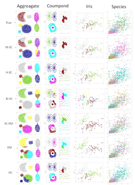 Color Labelling For The Most Efficient Clustering Methods On Spatial