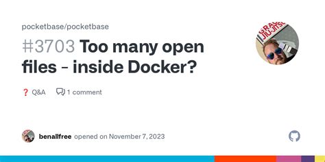Too Many Open Files Inside Docker · Pocketbase Pocketbase
