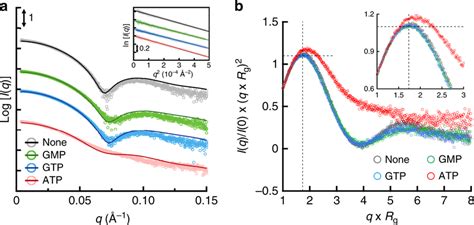 Sec Saxs Analysis Of Tbgmpr In The Presence Of Purine Nucleotides A