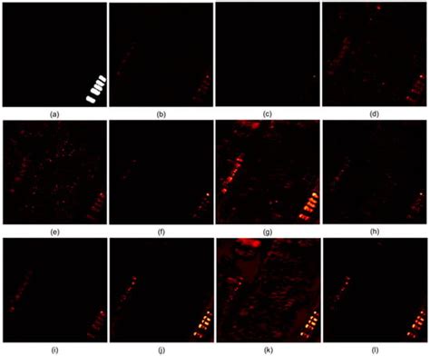 Remote Sensing Special Issue Imagery Classification And Feature