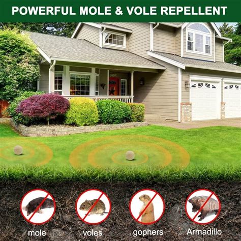 Wofimeha Mole Repellent Vole Repellent Outdoor Natural Gopher Repellent Mole Deterrent For Lawn