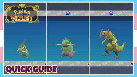 Pokemon Fraxure Evolution Chart Axew Goomy Line 1 By Kuranaminamino