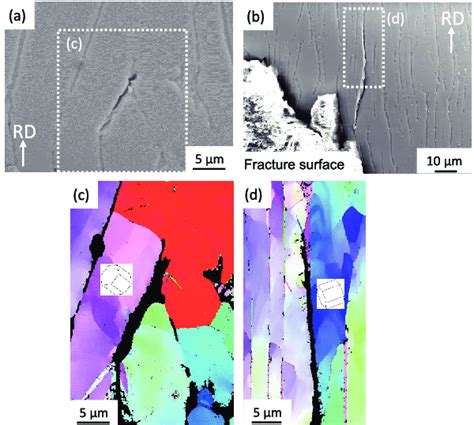 Microcracks Formed At Interfaces In The Longitudinal Section Beneath