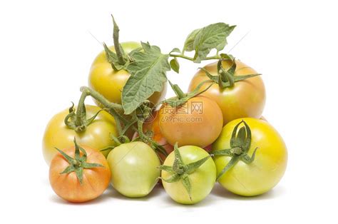 新鲜西红柿食物红色维生素农业蔬菜高清图片下载 正版图片320944125 摄图网