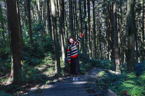 新北｜禾煦熊空休閒農場：700公尺高山秘境賞櫻去！走訪百年茶園、杉林古棧，一探櫻花、落羽松美景 輕旅行