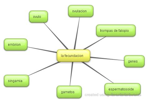 Sexualidad Mapa Mental