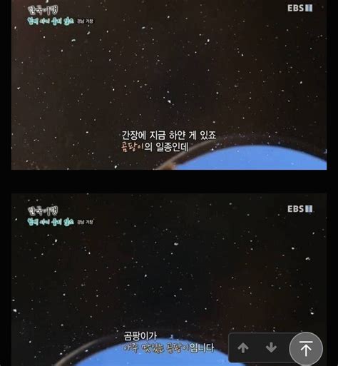해왕성 주변 우주 사진 치지직 에펨코리아
