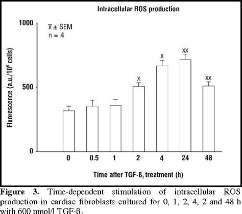 Figure 1 From Role Of Reactive Oxygen Species In The Transforming Growth Factor β1 Induced