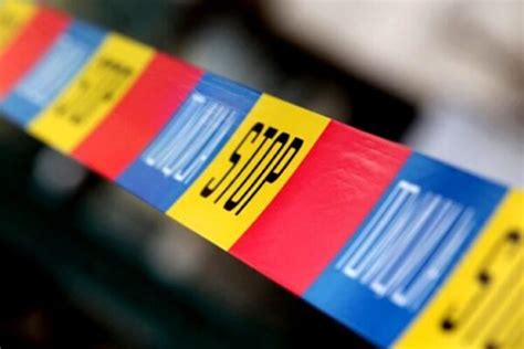 Ново Село Денес Сите информации на едно место