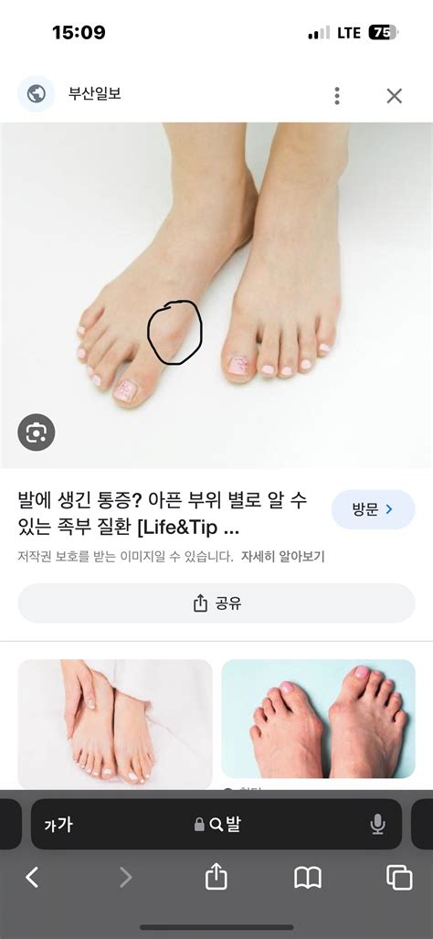 신체부위발 명칭 잘 아시는분~ Ea Fc 온라인 에펨코리아