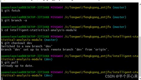 Git拉取项目及依赖安装教程 Csdn博客