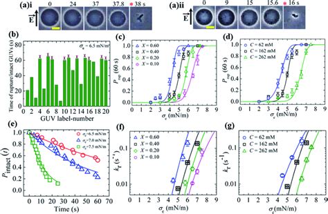 The constant electric tension σe induced rupture of GUVs under