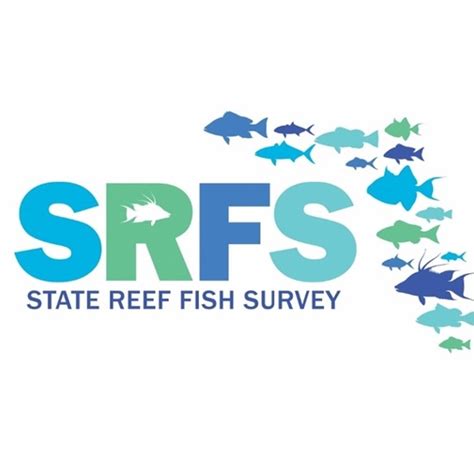 Saltwater Recreational Fishing Regulations Fwc