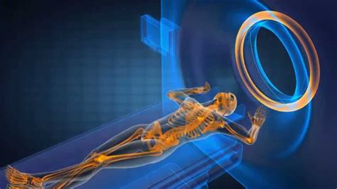Full Body MRI Scan YouTube