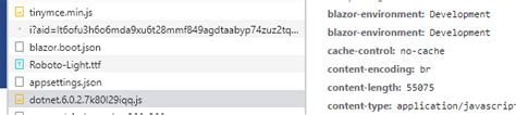 Blazor WASM Environnement Issue Issue Dotnet Aspnetcore GitHub