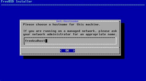 Tutorial Cara Install Freebsd 13 Gambar Mrfdn