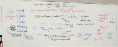 【aws Solutions Architect 認證課程】實戰導向，助您順利取得認證 雲育鏈 Aws雲端培訓合作夥伴 雲端課程培訓
