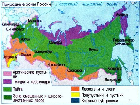 Природные зоны россии 4 класс окружающий мир