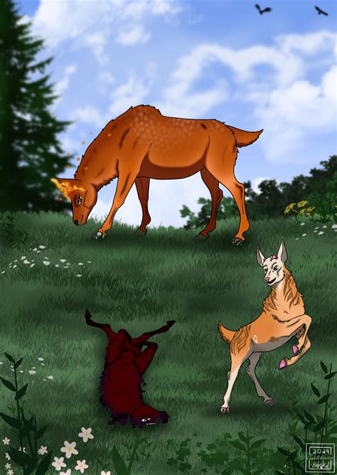 Fov Better Fit By Cuddlicactus On Deviantart
