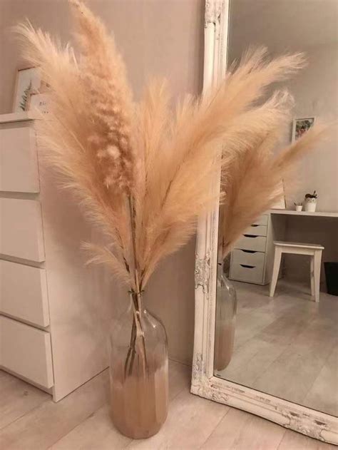 20 Large Dried Pampas Grass 3ft Dried Flowers For Interior Decoration