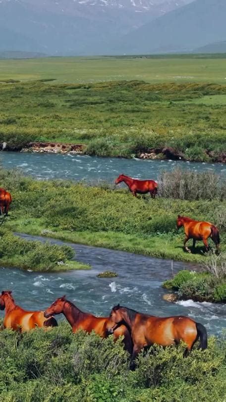 Post 759746166034513920 Buzz Tumbex