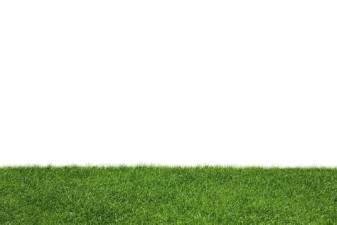 Premium Photo Green Grass Isolated On White Background