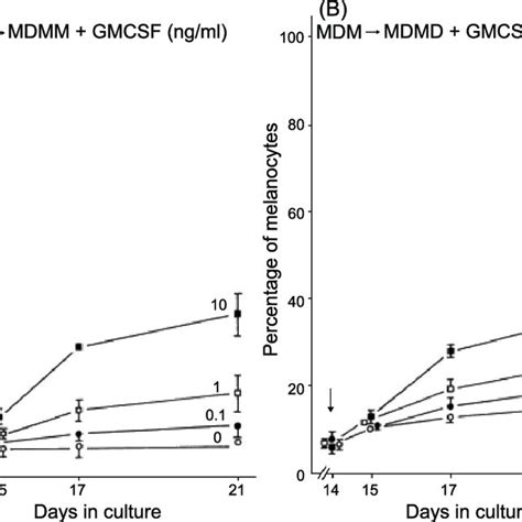 Effects Of Gmcsf On The Differentiation Of Mouse Epidermal Melanocytes
