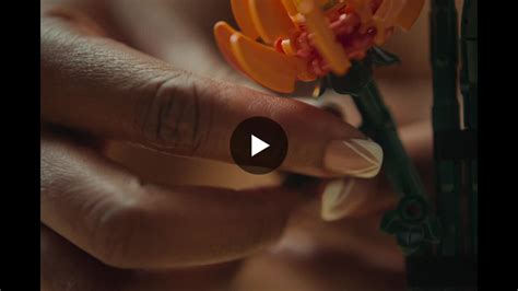 Rascal Colour Vfx Sound And Music How Many Ways To Show You Love Your