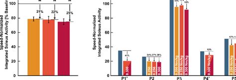 Comparison Of Net Metabolic Cost Of Transport Top And Soleus Muscle Download Scientific