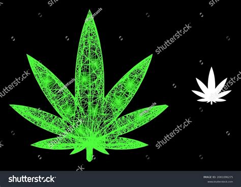Bright Network Cannabis Glowing Spots On Stock Vector Royalty Free Shutterstock