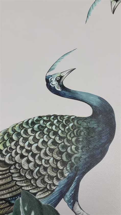 Vintage Peacock Jungle Wall Mural Wiv 806 Wall In Vogue