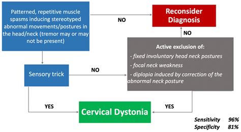 Proposed Algorithm For The Diagnosis Of Cervical Dystonia Download