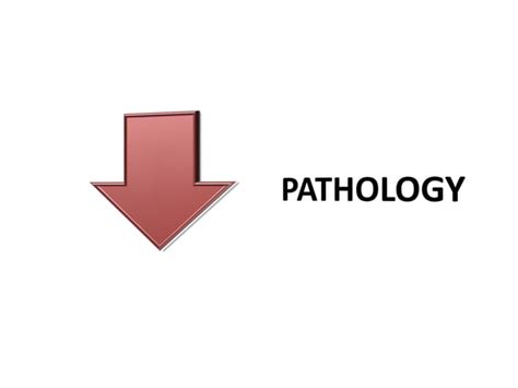Pyogenic Liver Abscess Convertedpdf240824 Ppt Free Download