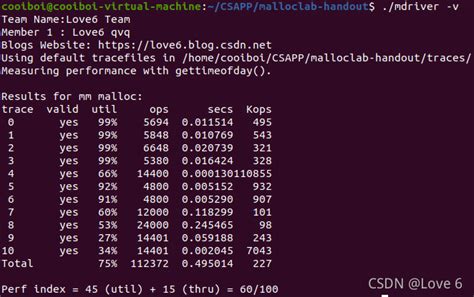 Csapp Lab6 实验记录 Malloc Lab（全实验流程 85 Scores）malloclab实验 Csdn博客