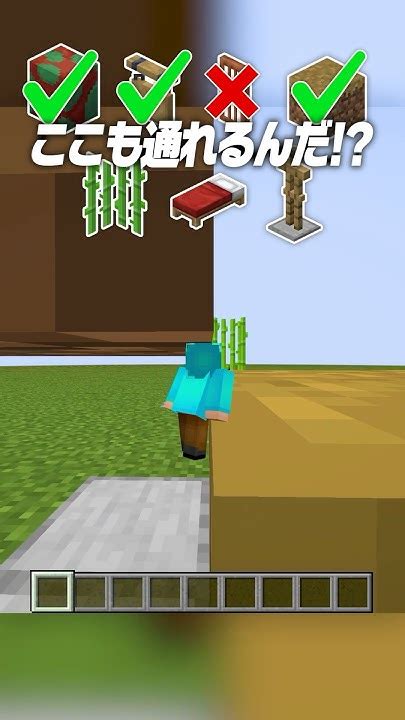 ここ通れるの！？😂【まいくら・マインクラフト】shorts らた Minecraft ゲーム実況 まいくら マイクラ Youtube