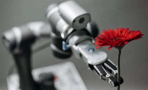 How To Use The Deepai Service In Your Cross Platform Apps Embarcadero