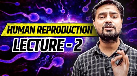 2 Human Reproduction Female Reproductive System External Genitalia