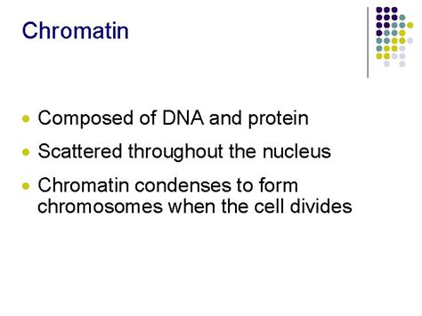 Chapter Cells And Tissues Cells And Tissues