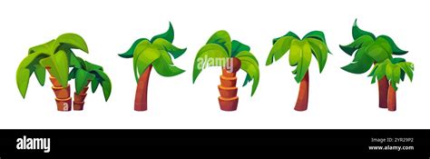 Collection Of Cartoon Palm Tree Designs For Video Games Different