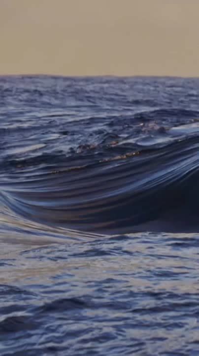 Fatima Samzakh Posted On Linkedin